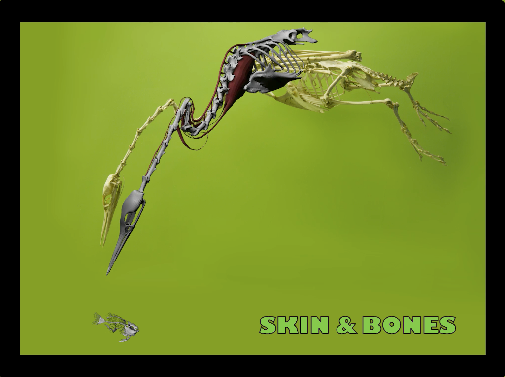 Smithsonian Brings Historic Specimens to Life in Free “Skin and Bones ... Smithsonian Brings Historic Specimens to Life in Free “Skin and Bones ...